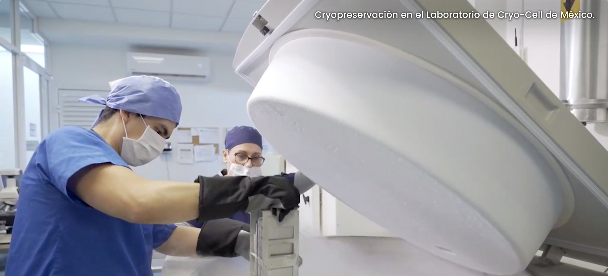 Cryo-Cell ayuda ventas