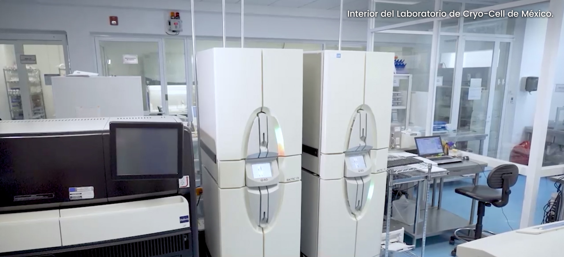 Cryo-Cell ayuda ventas