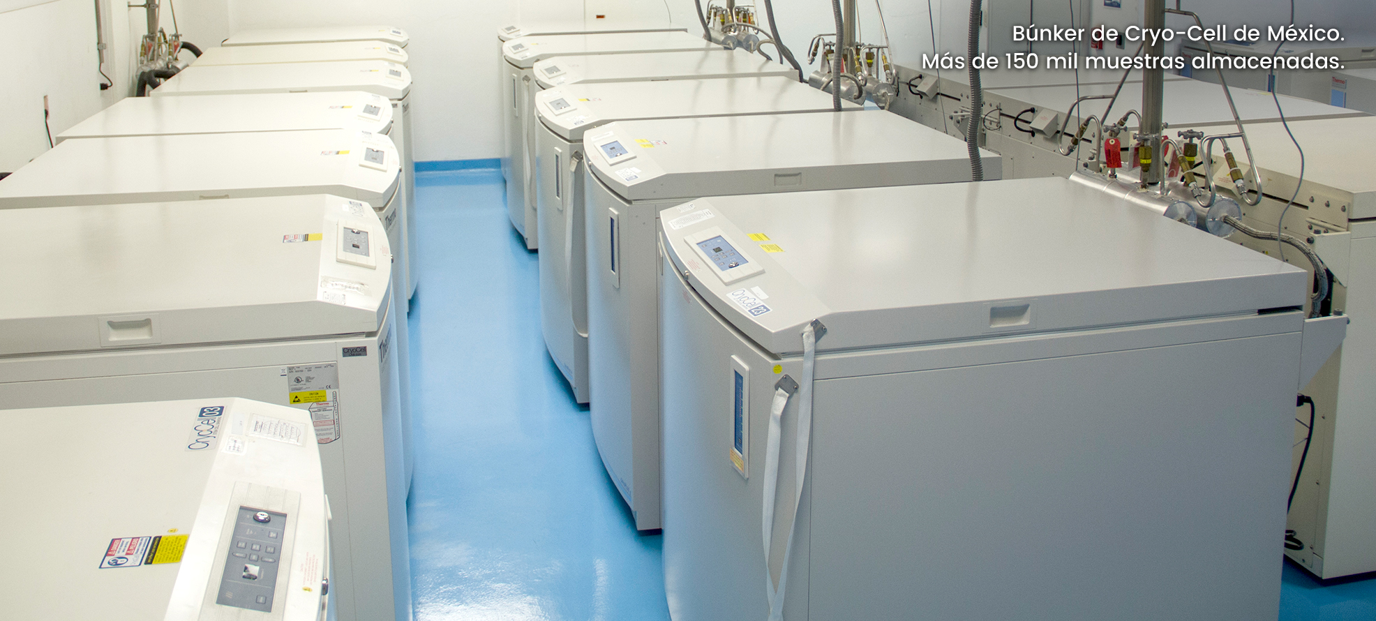 Cryo-Cell ayuda ventas